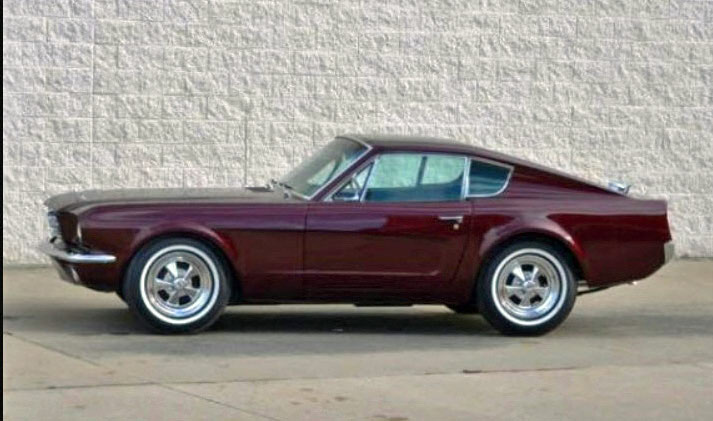 Vanderbilt Cup Races - Blog - Mac’s Motor City Garage: Mustang Two ...