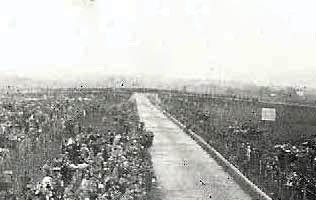 Vanderbilt Cup Races - Blog - Long Island Motor Parkway Bridge Series ...